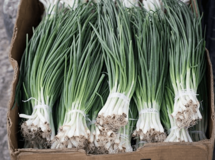 My 12 Favorite Perennial Veggies to Plant - Food Forest Design Minnesota