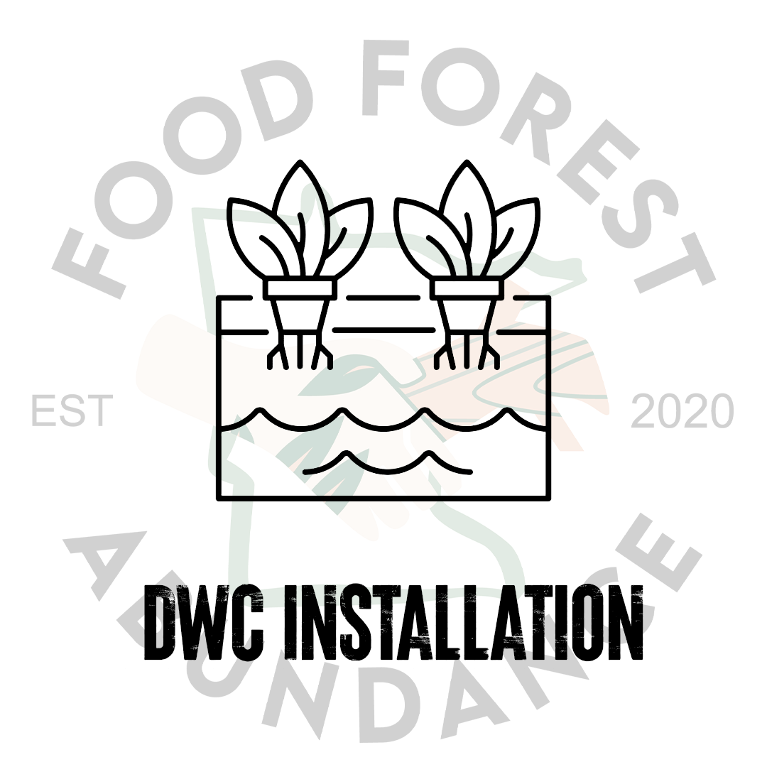 Dwc Bucket System Setup Installation Food Forest Design Minnesota